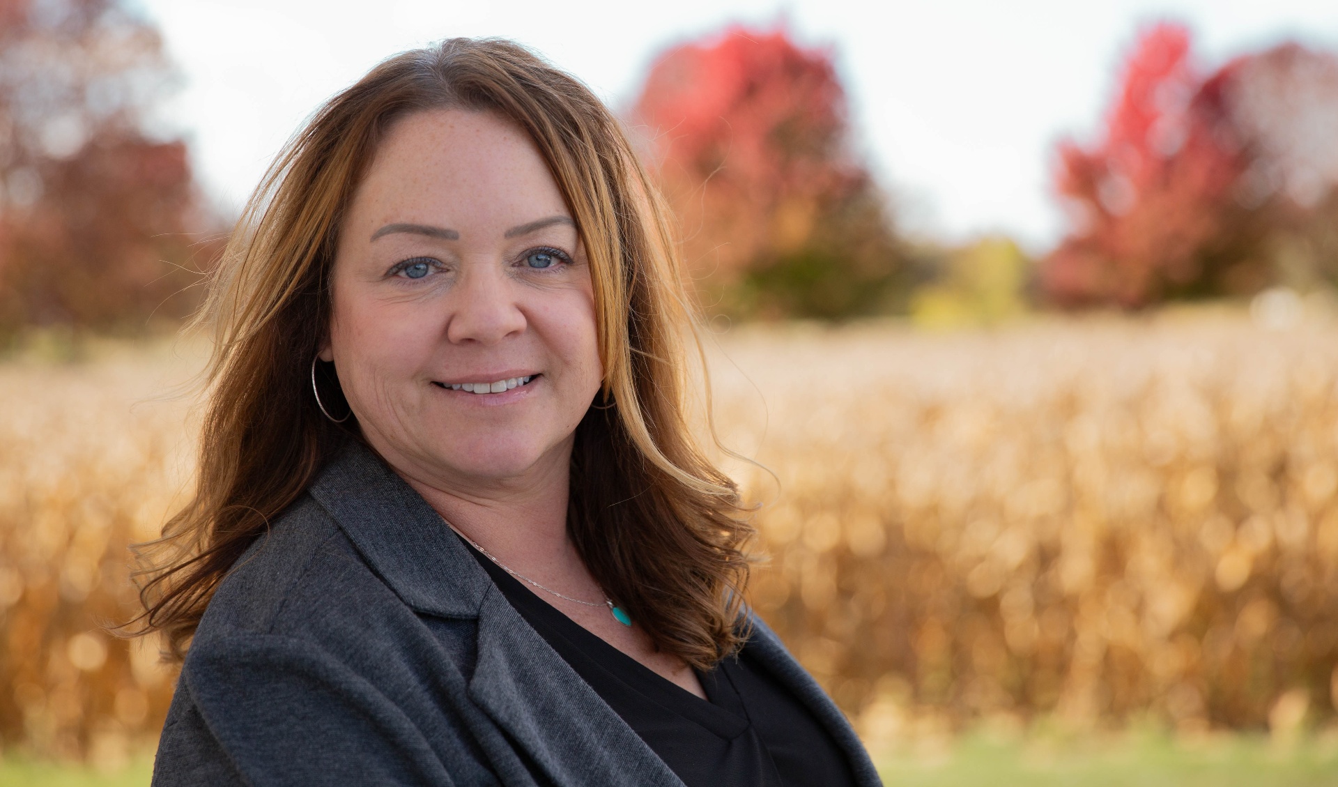 Southern Illinois Associates, LLC - Mental Health Services